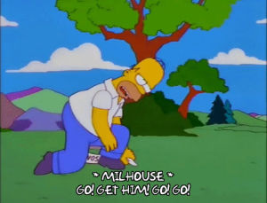 GIF mountain homer simpson season 9 - animated GIF on GIFER