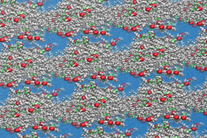 Lipid GIF - Find on GIFER