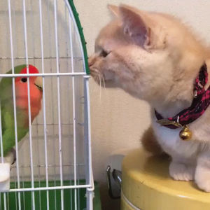 Hey GIF on GIFER - by Huzar