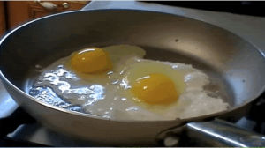 GIF eggs oeuf eier - animated GIF on GIFER - by Goldcrusher
