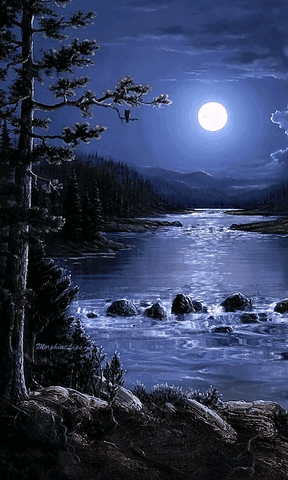 GIF hd hd gifs - animated GIF on GIFER - by Drelanadar
