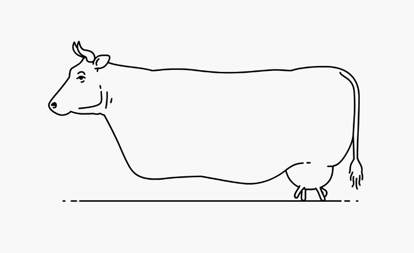 Cow locomotion GIF on GIFER - by Mazahn