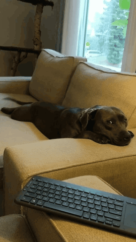 Cinemagraph perfect loops GIF on GIFER - by Doomgrove