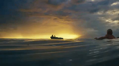 Surfing hawaii GIF on GIFER - by Shaliwyn