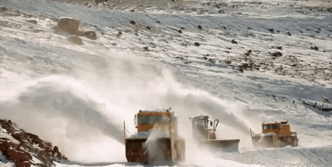 Colorado denver GIF - Find on GIFER