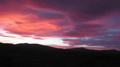 California GIF - Pesquisar em GIFER