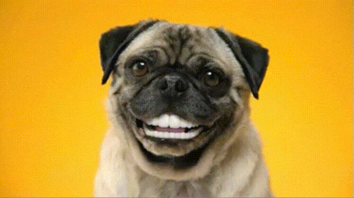Sorriso Animado Gif Sorriso Risada GIFs | Tenor