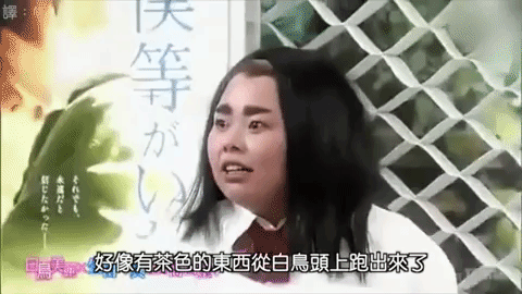 Comedy japan surprise GIF on GIFER - by Faujin