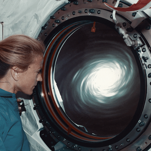 Konczakowski gazing gaze GIF en GIFER - de Arashigor