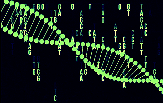 The matrix GIF on GIFER - by Blackwarden