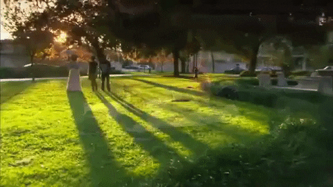 Georgia GIF on GIFER - by Kigal