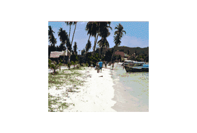 Transparent welcome website GIF on GIFER - by Molar