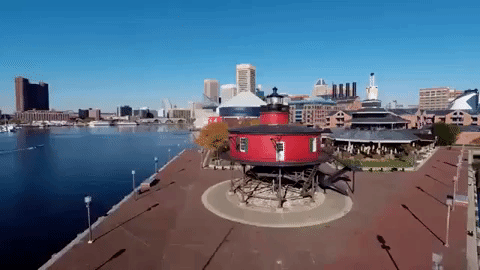 Maryland GIF on GIFER - by Fomand