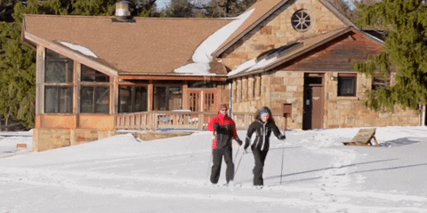 Maryland GIF on GIFER - by Akinosho