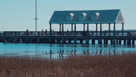 South carolina GIF - Find on GIFER