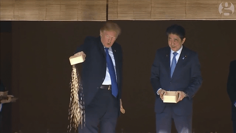 Trump fish GIF on GIFER - by Sinray