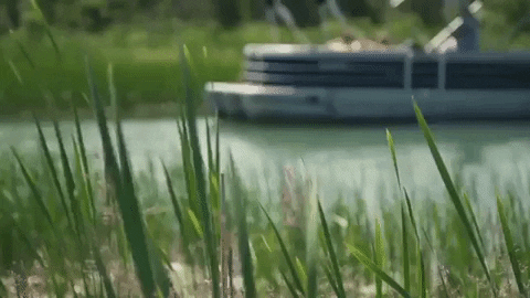 Michigan GIF - Find on GIFER