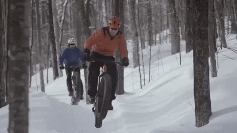 Michigan GIF on GIFER - by Foginn