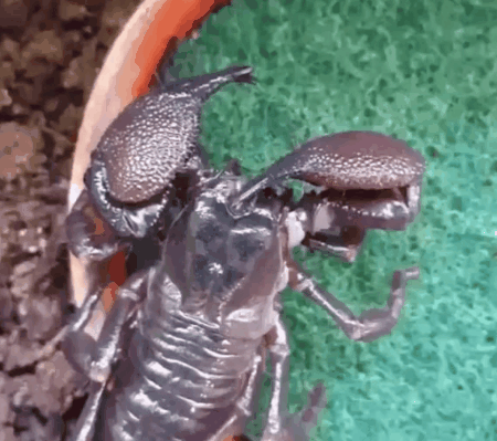 Out of casting GIF - Find on GIFER