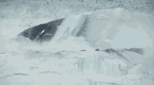 Glacier GIF on GIFER - by Kigat