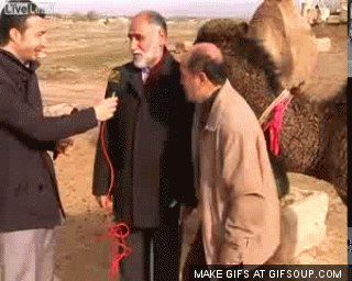 Rover nasa GIF en GIFER - de Felhagelv