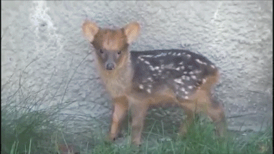GIF clouds mountains timelapse - animated GIF on GIFER - by Munizan