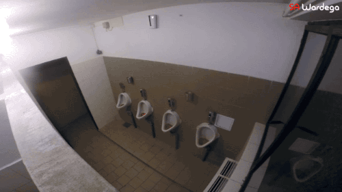 High five cat GIF on GIFER - by Maurn