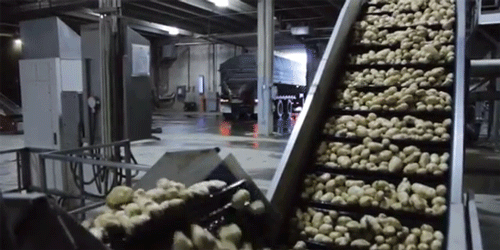French fries GIF on GIFER - by Purefist
