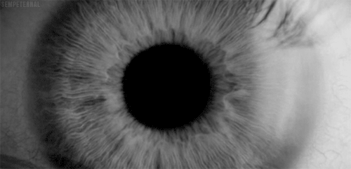 GIF donnie darko movie eyes - animated GIF on GIFER - by Nalmern