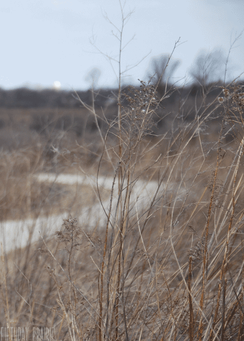 GIF duck hunt nes light gun - animated GIF on GIFER - by Swordsinger