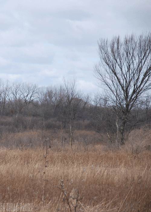 Landscape illinois prairie GIF on GIFER - by Silverhammer
