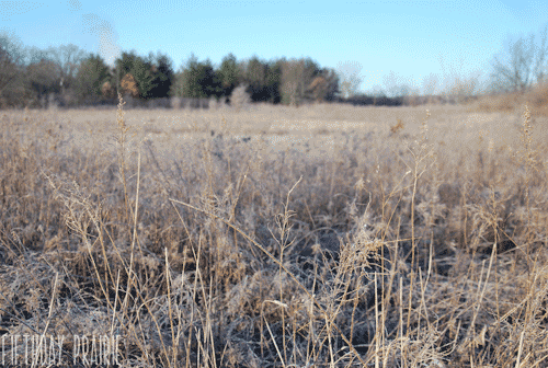 Landscape nature prairie GIF on GIFER - by Voodoogul