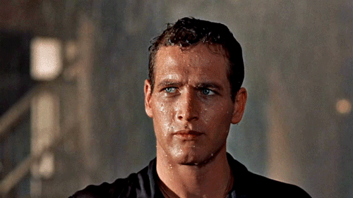 Blue velvet GIF on GIFER - by Maath