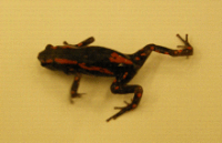 Lurch GIFs - Get the best gif on GIFER