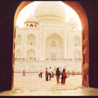 Taj mahal GIFs - Get the best gif on GIFER
