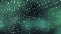 Spiderweb GIFs - Get the best gif on GIFER