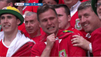 Wales GIFs - Get the best gif on GIFER