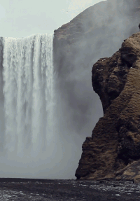 Urine GIFs - Get the best gif on GIFER