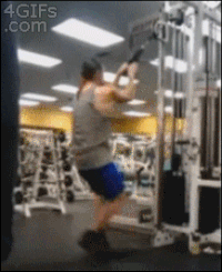 Triceps GIFs - Get the best gif on GIFER