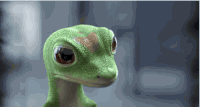 Geckos GIFs - Get the best gif on GIFER
