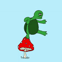 Fungi GIFs - Get the best gif on GIFER