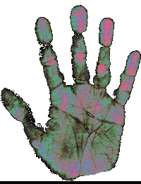 Hand GIFs - Get the best gif on GIFER