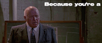 Bundle GIFs - Get the best gif on GIFER