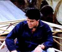 Clambake GIFs - Get the best gif on GIFER