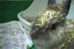 Benzos GIFs - Get the best gif on GIFER