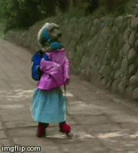 Poodle GIFs - Get the best gif on GIFER