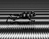 Duik GIFs - Get the best gif on GIFER