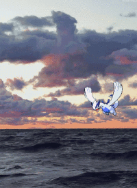 Lugia GIFs - Get the best gif on GIFER