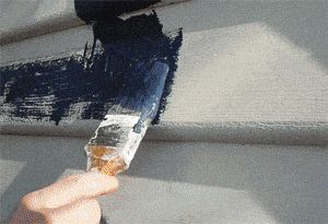 Shingles GIF - Conseguir el mejor gif en GIFER