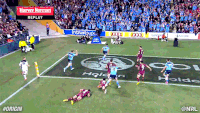 Nrl GIFs - Get the best gif on GIFER